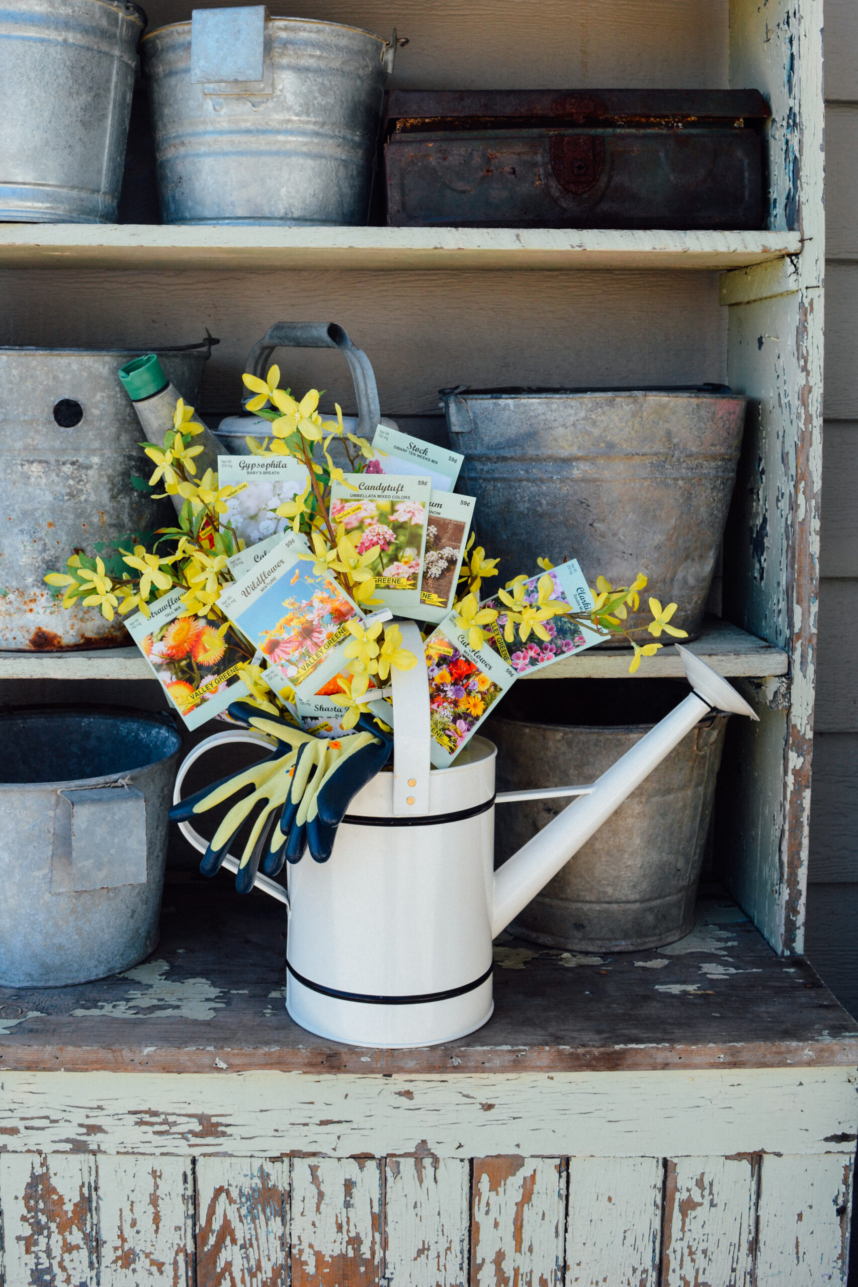 2 Ways to Use Garden Seeds as Mother’s Day Gifts